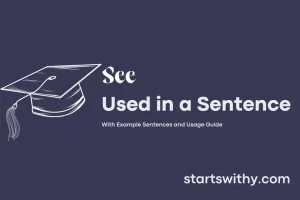 SEE in a Sentence Examples: 21 Ways to Use See
