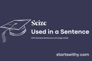 SEIZE in a Sentence Examples: 21 Ways to Use Seize
