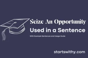 SEIZE AN OPPORTUNITY in a Sentence Examples: 21 Ways to Use Seize An ...