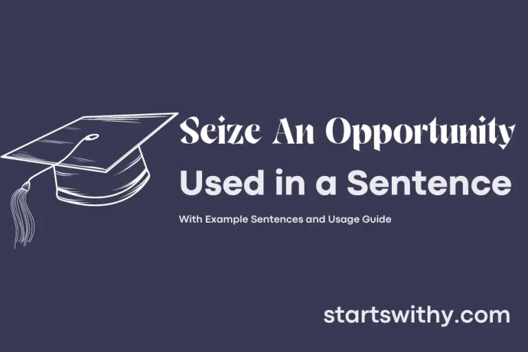 SEIZE AN OPPORTUNITY in a Sentence Examples: 21 Ways to Use Seize An ...