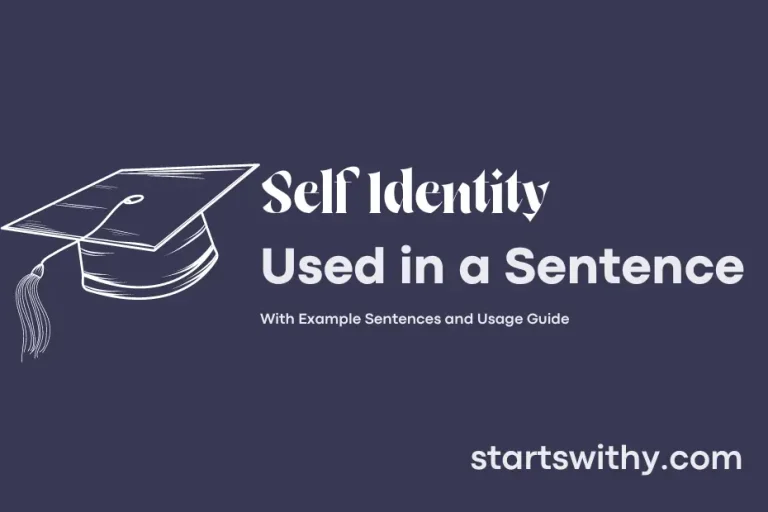 SELF IDENTITY in a Sentence Examples: 21 Ways to Use Self Identity