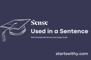 SENSE in a Sentence Examples: 21 Ways to Use Sense