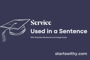 SERVICE in a Sentence Examples: 21 Ways to Use Service