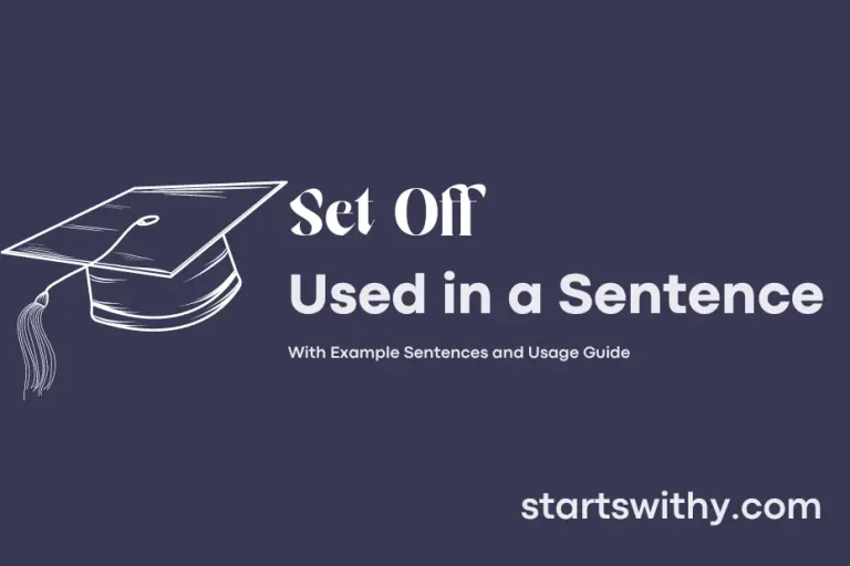 SET OFF in a Sentence Examples: 21 Ways to Use Set Off