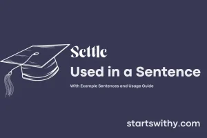 SETTLE in a Sentence Examples: 21 Ways to Use Settle