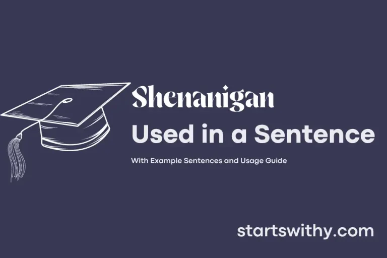 SHENANIGAN in a Sentence Examples: 21 Ways to Use Shenanigan