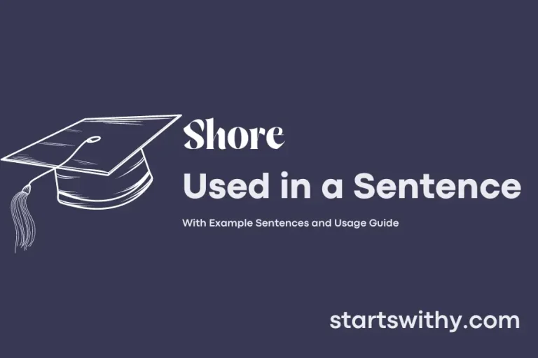 SHORE in a Sentence Examples: 21 Ways to Use Shore