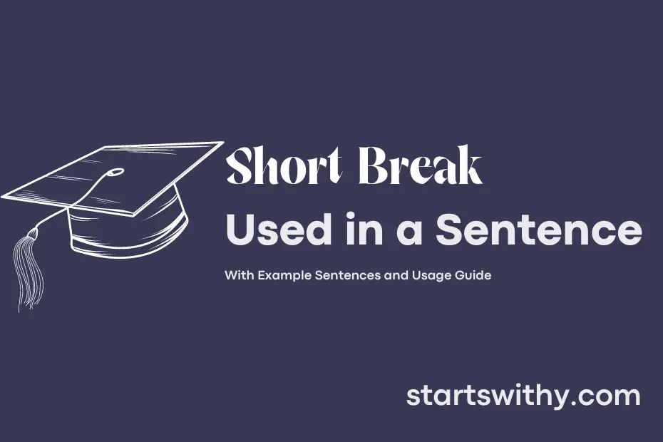 SHORT BREAK In A Sentence Examples 21 Ways To Use Short Break SHORT BREAK In A Sentence Examples 21 Ways To Use Short Break