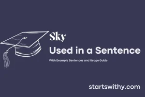 SKY in a Sentence Examples: 21 Ways to Use Sky