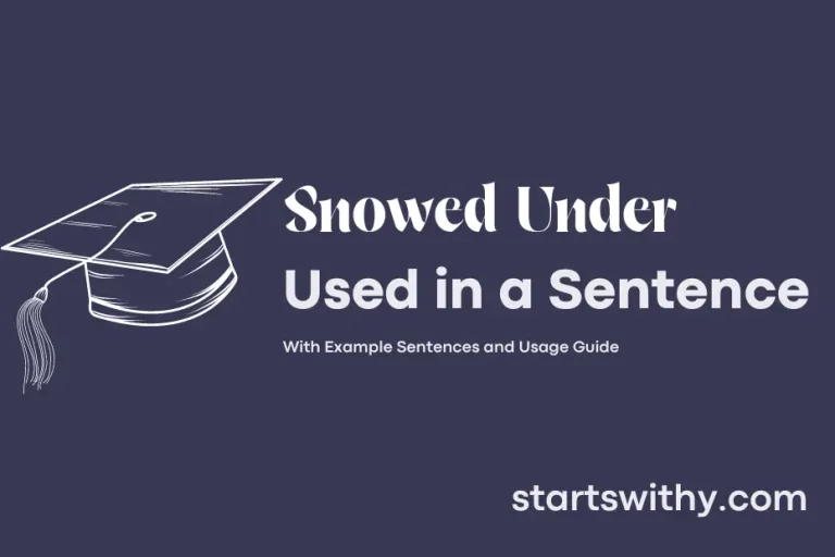 SNOWED UNDER in a Sentence Examples: 21 Ways to Use Snowed Under