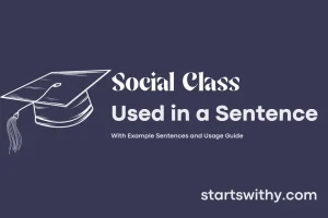 SOCIAL CLASS in a Sentence Examples: 21 Ways to Use Social Class