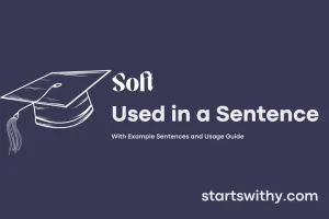 SOFT in a Sentence Examples: 21 Ways to Use Soft