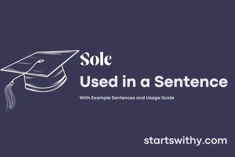 SOLE in a Sentence Examples: 21 Ways to Use Sole