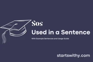 SOS in a Sentence Examples: 21 Ways to Use Sos