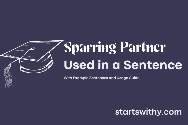 SPARRING PARTNER in a Sentence Examples: 21 Ways to Use Sparring Partner