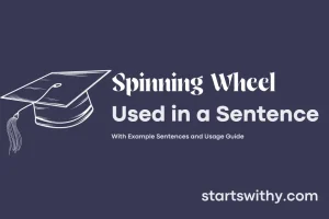 SPINNING WHEEL in a Sentence Examples: 21 Ways to Use Spinning Wheel