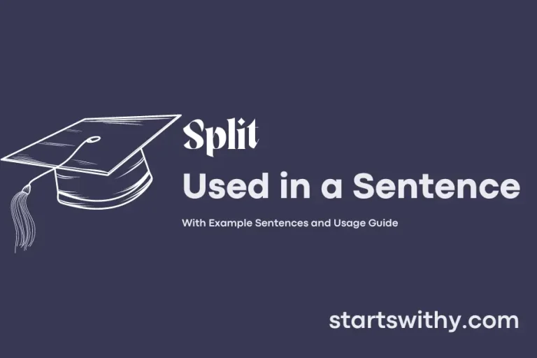 SPLIT in a Sentence Examples: 21 Ways to Use Split