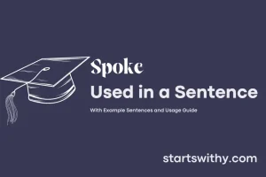 SPOKE in a Sentence Examples: 21 Ways to Use Spoke