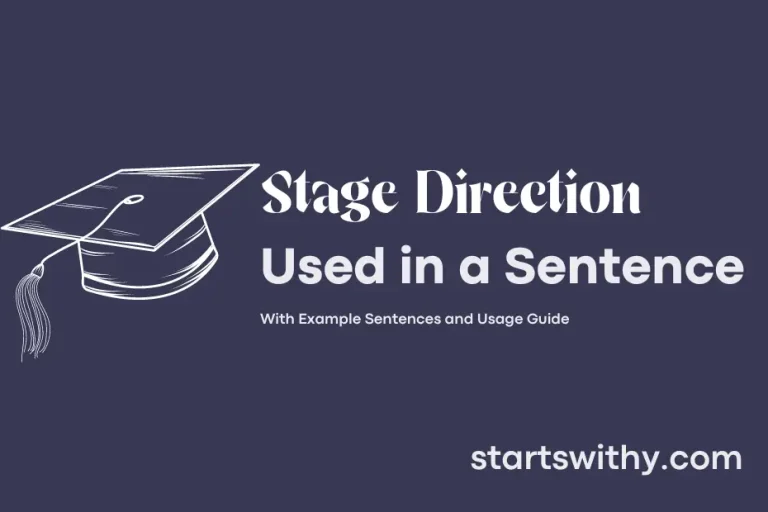 STAGE DIRECTION in a Sentence Examples: 21 Ways to Use Stage Direction