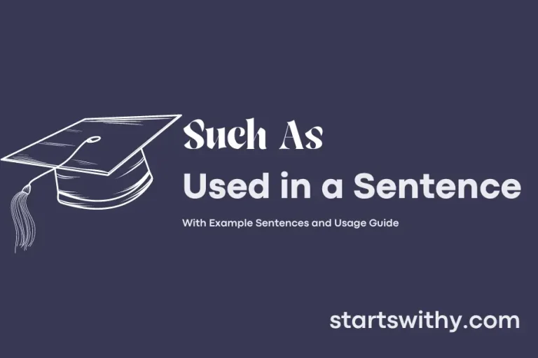 SUCH AS in a Sentence Examples: 21 Ways to Use Such As