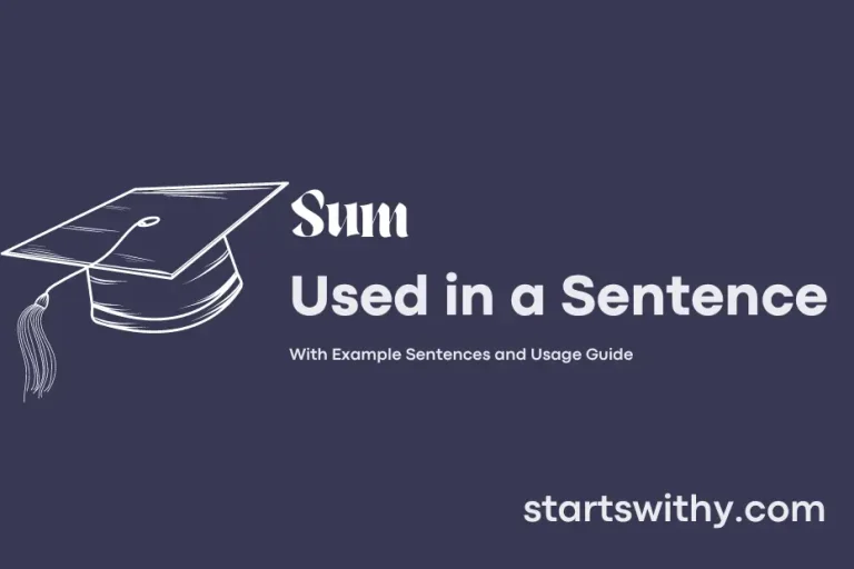 SUM in a Sentence Examples: 21 Ways to Use Sum