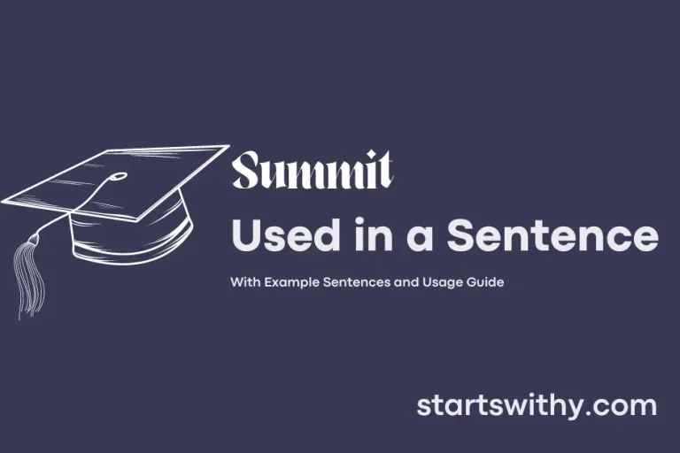 SUMMIT in a Sentence Examples: 21 Ways to Use Summit