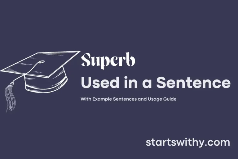 SUPERB in a Sentence Examples: 21 Ways to Use Superb