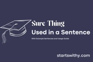SURE THING in a Sentence Examples: 21 Ways to Use Sure Thing