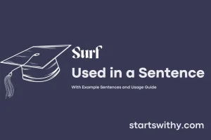 SURF in a Sentence Examples: 21 Ways to Use Surf