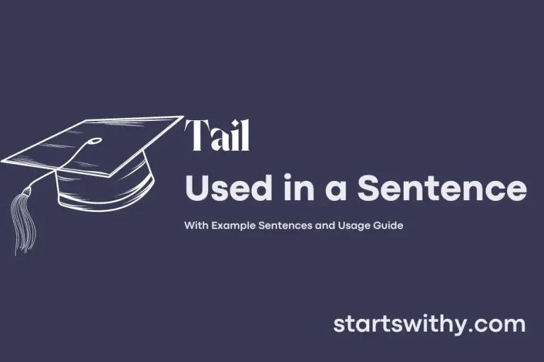 TAIL in a Sentence Examples: 21 Ways to Use Tail