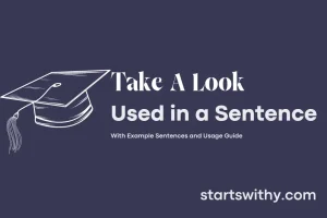 TAKE A LOOK in a Sentence Examples: 21 Ways to Use Take A Look
