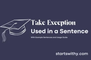 TAKE EXCEPTION in a Sentence Examples: 21 Ways to Use Take Exception