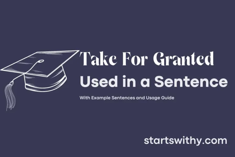 TAKE FOR GRANTED in a Sentence Examples: 21 Ways to Use Take For Granted