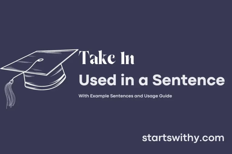 TAKE IN in a Sentence Examples: 21 Ways to Use Take In