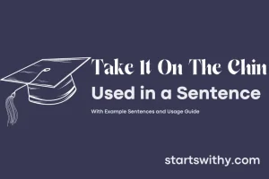 TAKE IT ON THE CHIN in a Sentence Examples: 21 Ways to Use Take It On ...
