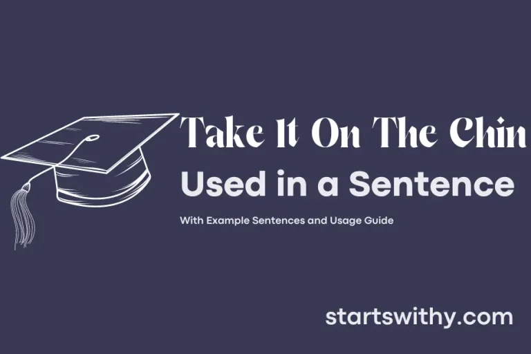 TAKE IT ON THE CHIN in a Sentence Examples: 21 Ways to Use Take It On ...