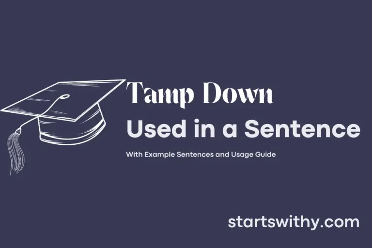 TAMP DOWN in a Sentence Examples: 21 Ways to Use Tamp Down