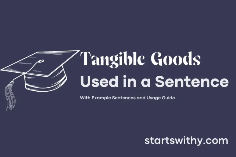 TANGIBLE GOODS in a Sentence Examples: 21 Ways to Use Tangible Goods
