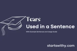 TEARS in a Sentence Examples: 21 Ways to Use Tears