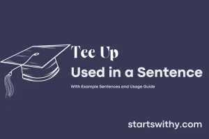 TEE UP in a Sentence Examples: 21 Ways to Use Tee Up