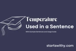 TEMPERATURE in a Sentence Examples: 21 Ways to Use Temperature