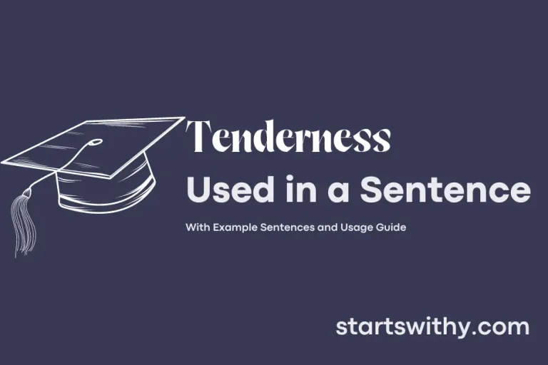 TENDERNESS in a Sentence Examples: 21 Ways to Use Tenderness
