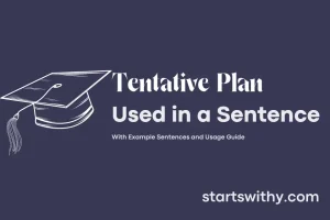 TENTATIVE PLAN in a Sentence Examples: 21 Ways to Use Tentative Plan
