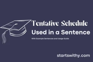 TENTATIVE SCHEDULE in a Sentence Examples: 21 Ways to Use Tentative ...
