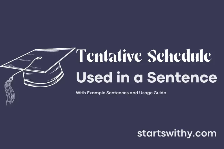 TENTATIVE SCHEDULE in a Sentence Examples: 21 Ways to Use Tentative ...