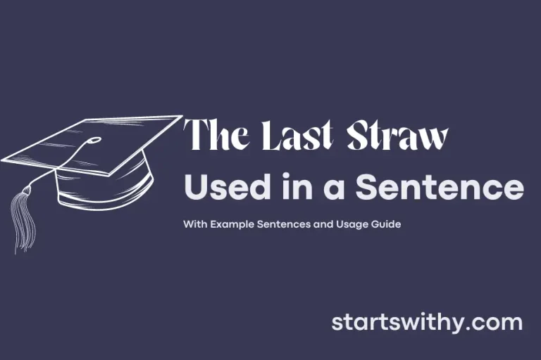 THE LAST STRAW in a Sentence Examples: 21 Ways to Use The Last Straw
