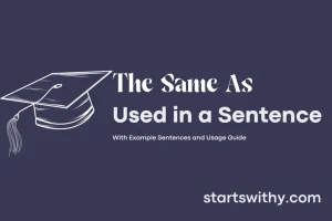 THE SAME AS in a Sentence Examples: 21 Ways to Use The Same As