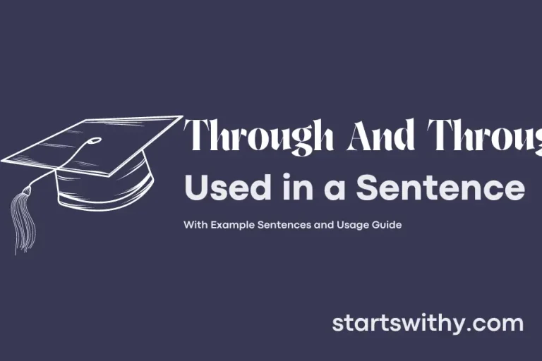THROUGH AND THROUGH in a Sentence Examples: 21 Ways to Use Through And ...
