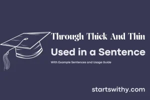 THROUGH THICK AND THIN in a Sentence Examples: 21 Ways to Use Through ...