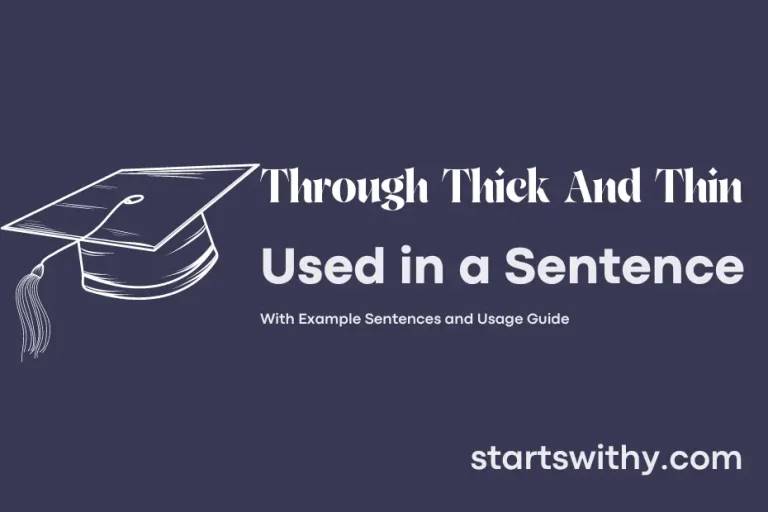 THROUGH THICK AND THIN in a Sentence Examples: 21 Ways to Use Through ...